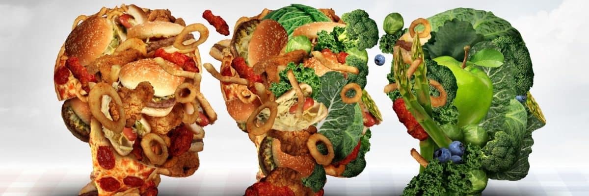 How Food Has Changed - Denny Waxman Macrobiotic Counselor